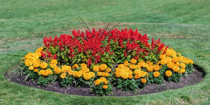 Design Beautiful Built Up Garden Beds With Raised Mounds