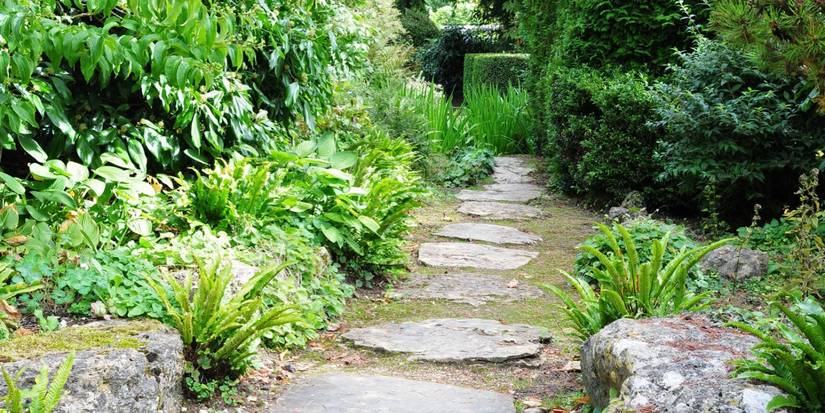 Step Into Style: Gorgeous Stepping Stone Walkways