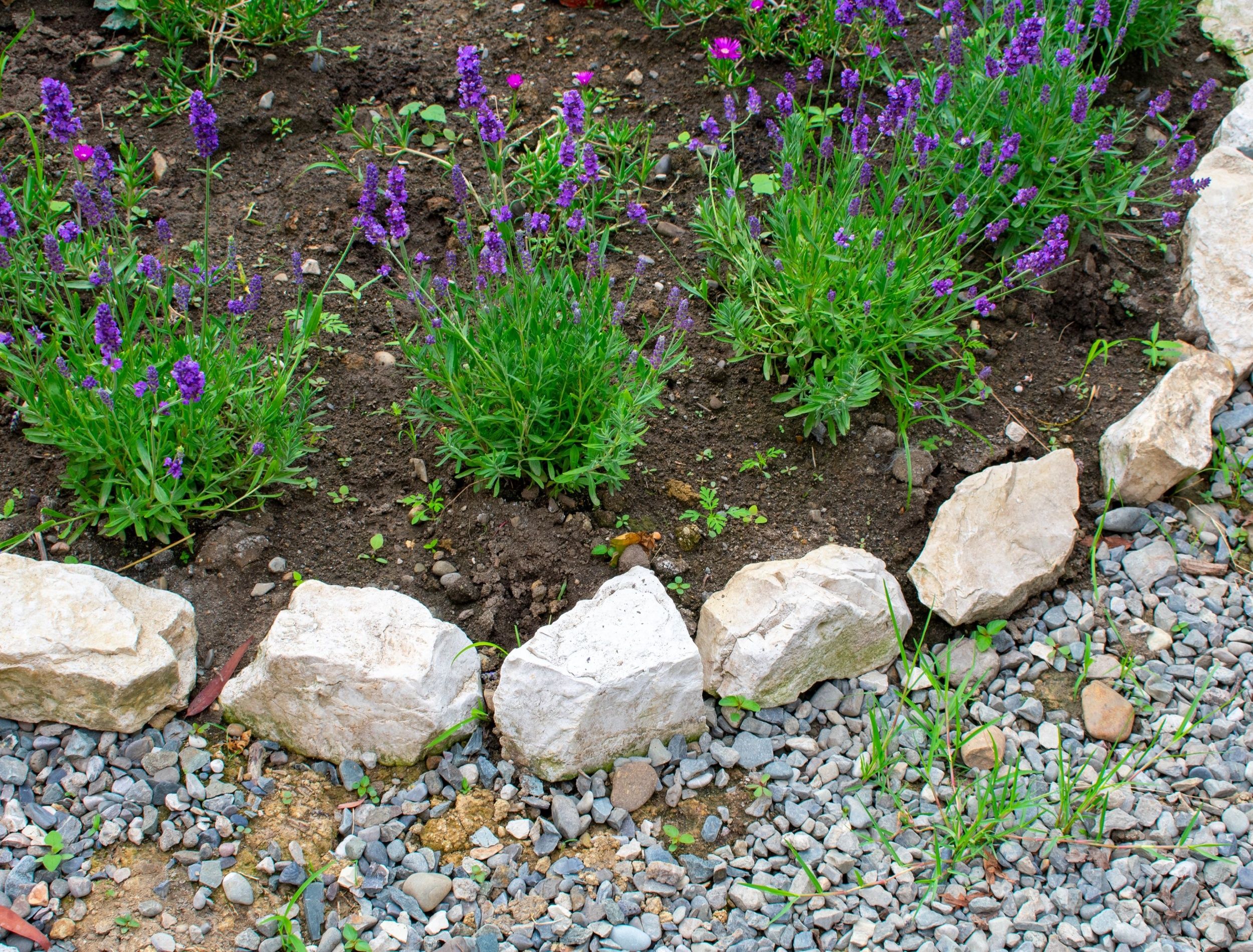 5 Garden Edging Ideas That Instantly Upgrade Your Outdoor Space