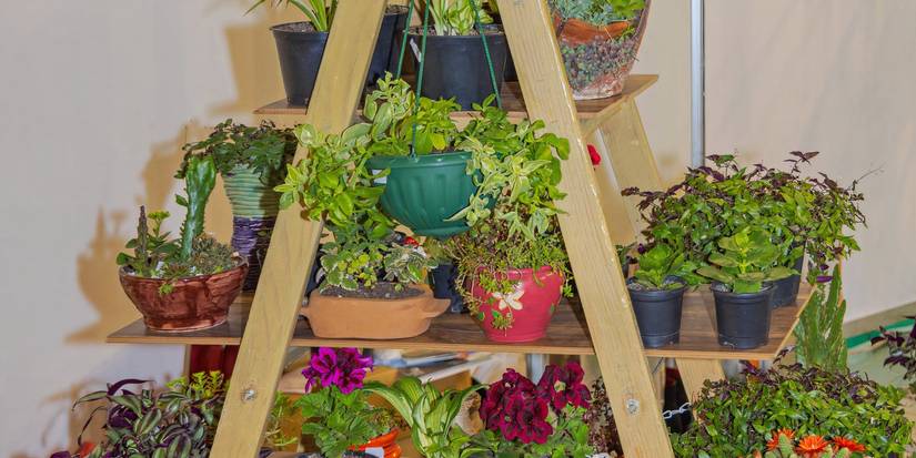 Creative Ladder Landscaping Ideas for Garden Charm and Function