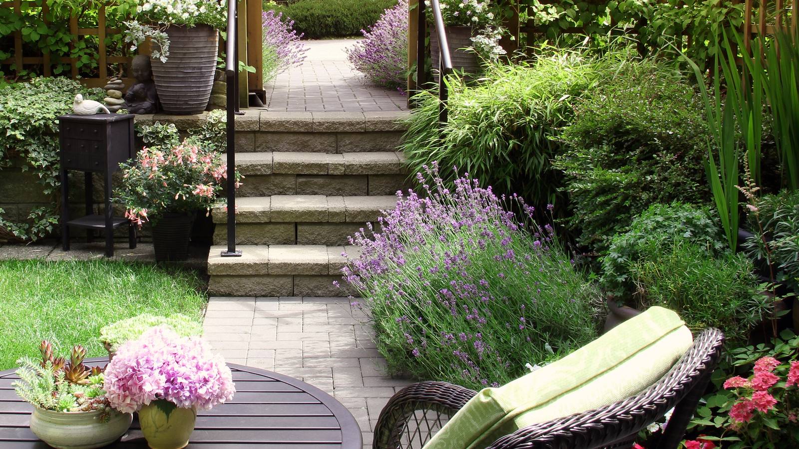 4 Plants That Will Help Turn Your Backyard Into a Spa-Like Oasis