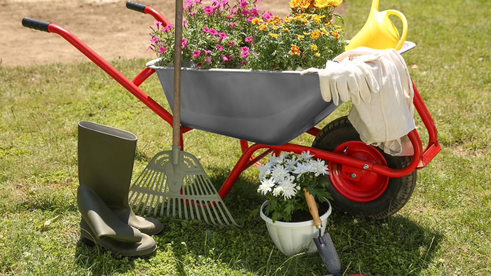 Essential Landscaping Tools Every Homeowner Should Own