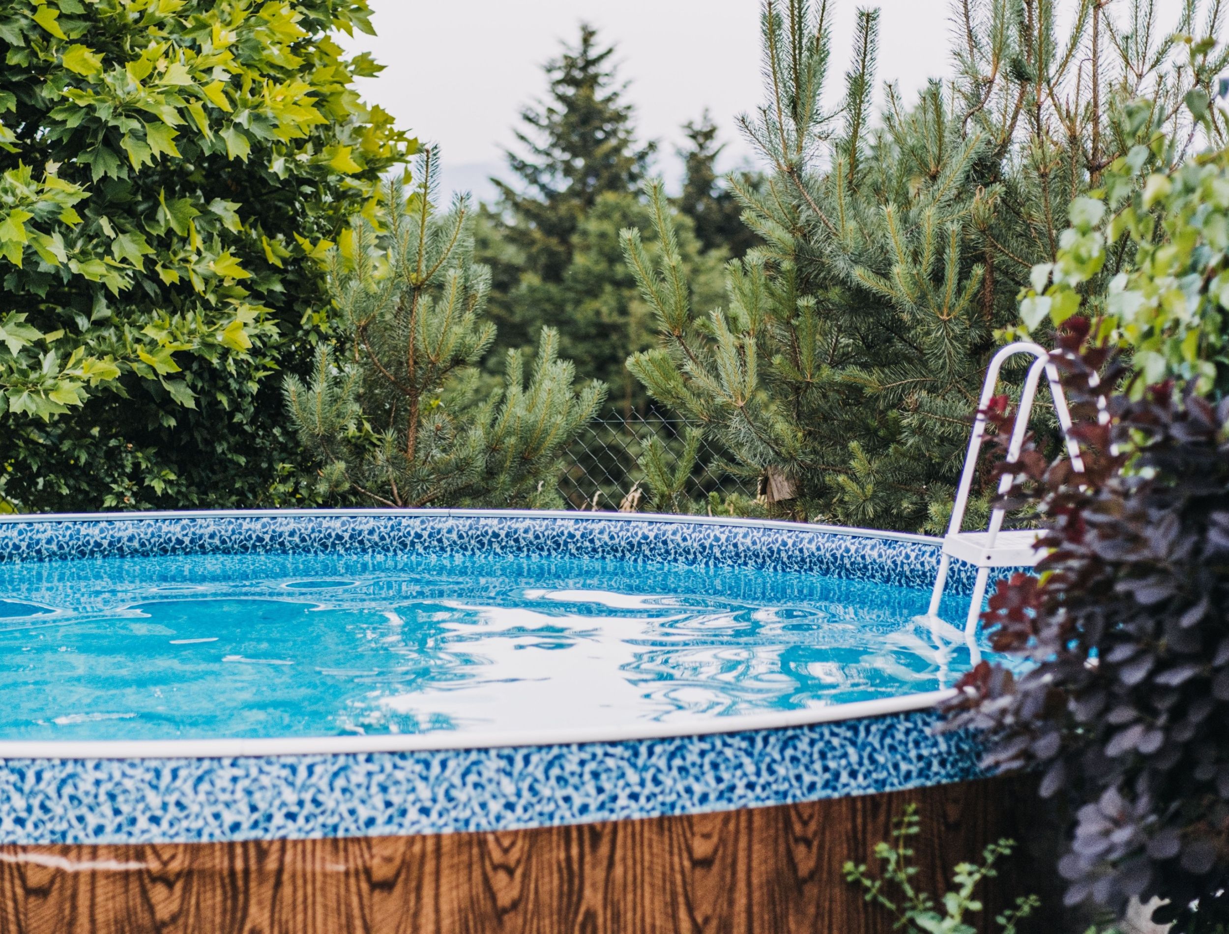 Best Plants to Help Your Above Ground Pool Blend Into the Yard