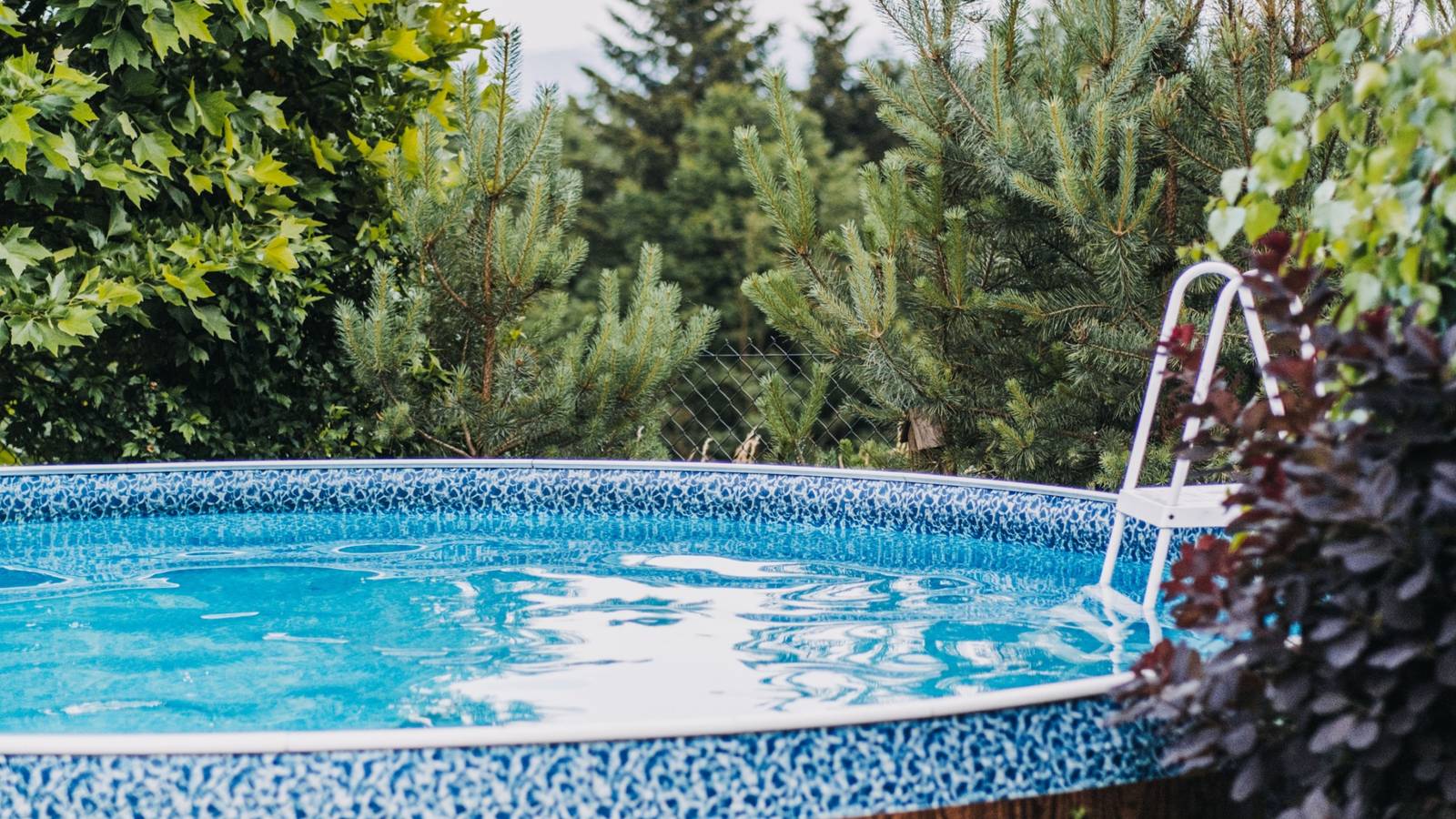 Best Plants to Help Your Above Ground Pool Blend Into the Yard