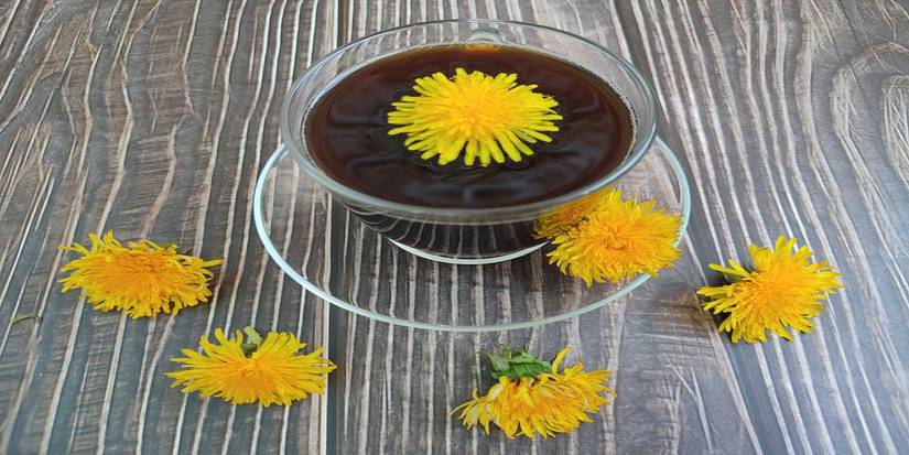 Dandelion Coffee: The Bold Brew Without the Jitters