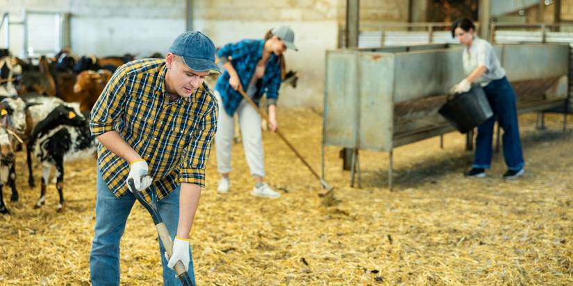 Raising Backyard Goats: What You Need to Know Before You Start