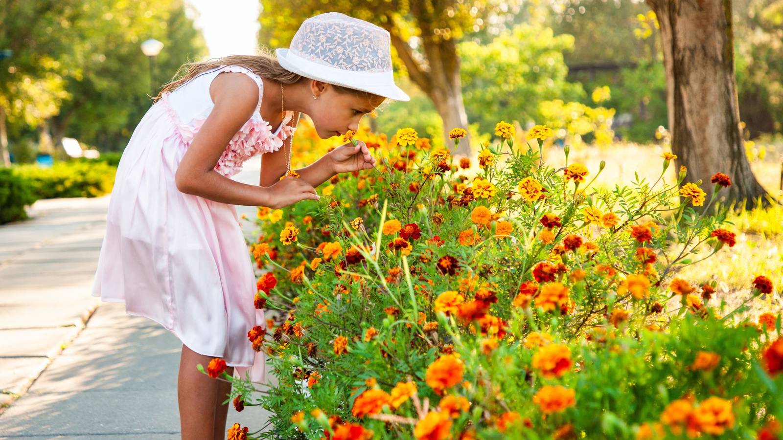 Why Do Plants Smell? The Science and Purpose of Floral Fragrance