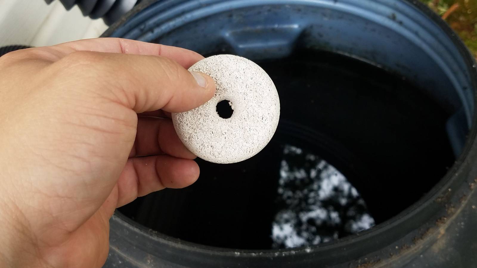 Mosquito Dunks: The Eco-Friendly Secret to a Bite-Free Backyard