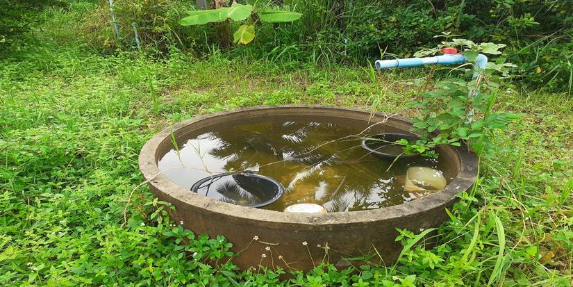 Stunning Above Ground Pond Ideas That Transform Your Backyard