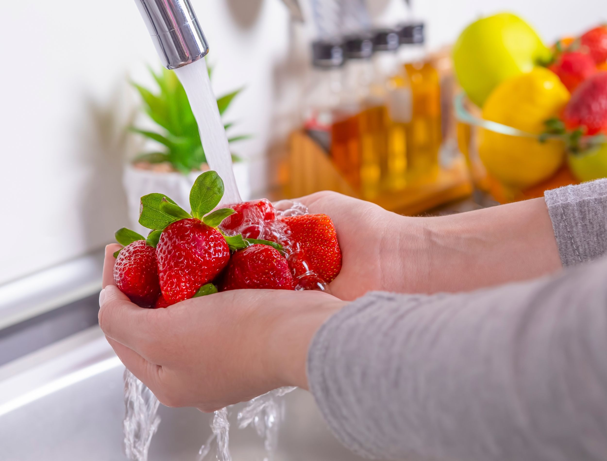 Grow 5 Healthy Snacks in Your Backyard Garden