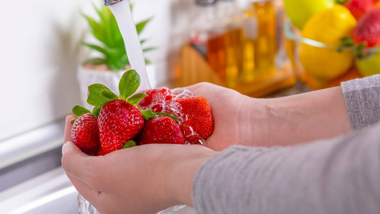 Grow 5 Healthy Snacks in Your Backyard Garden
