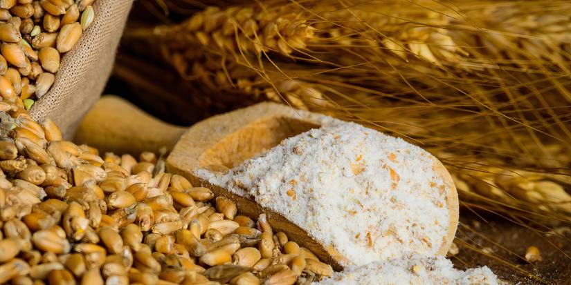 Create an Edible Garden by Growing Wheat