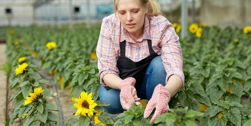 Beginner Gardeners Guide: Five Gardening Basics You Can’t Skip
