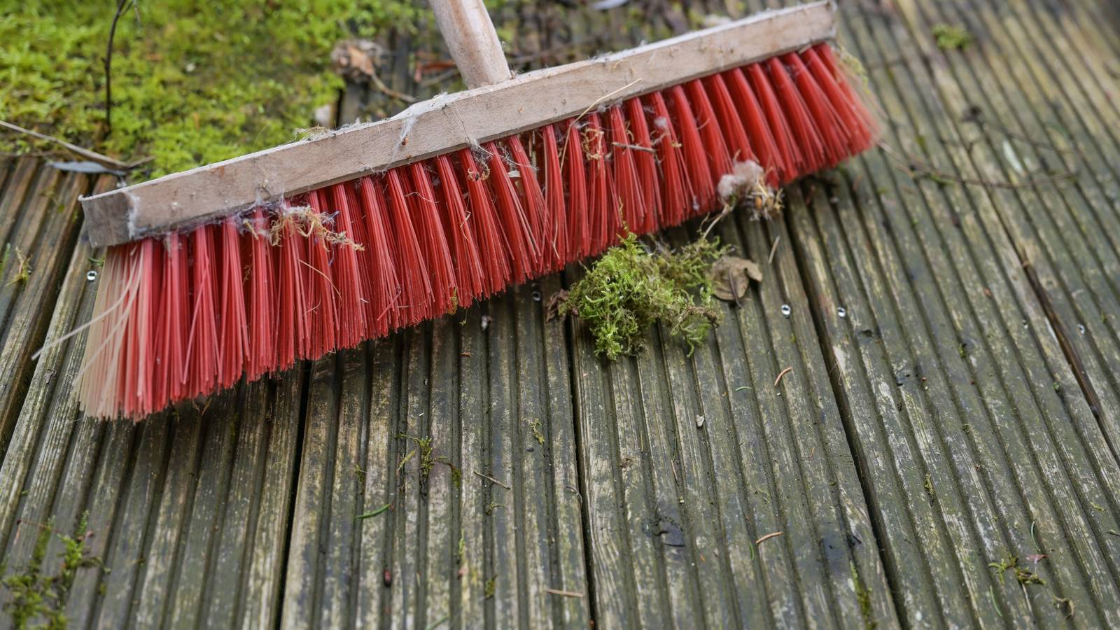 Say Goodbye to Algae: Simple Tricks For a Cleaner Backyard