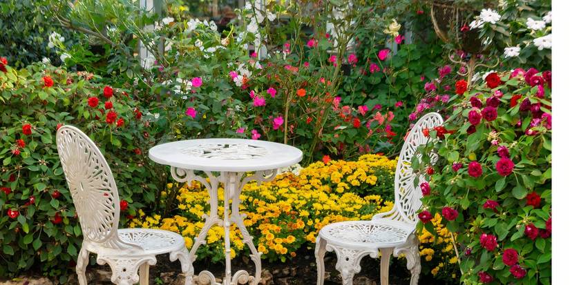Transform Your Yard Into a Dreamy Romance Garden