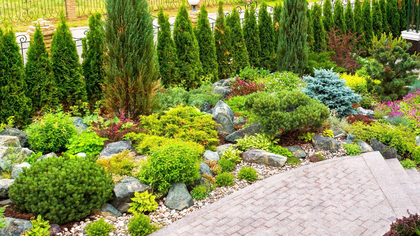 Windbreaks: The Simple Way to Stop Wind Damage and Soil Erosion