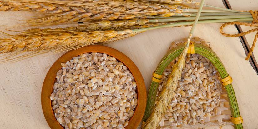 Grow Your Own Cereal: 5 Easy Grains for Home Gardens