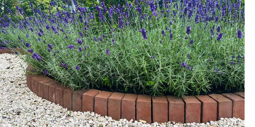 5 Budget-Friendly DIY Garden Border Ideas to Transform Your Landscape