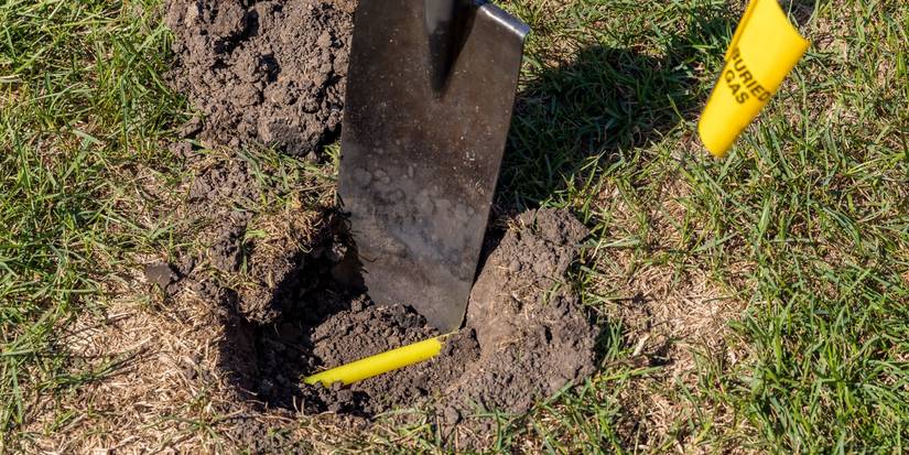 Buried Treasure: When Gardening Uncovers Hidden Dangers
