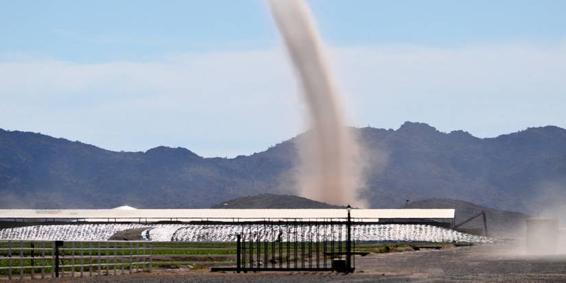 Gardening Trouble: Why Dust Devils Spin Through Your Yard