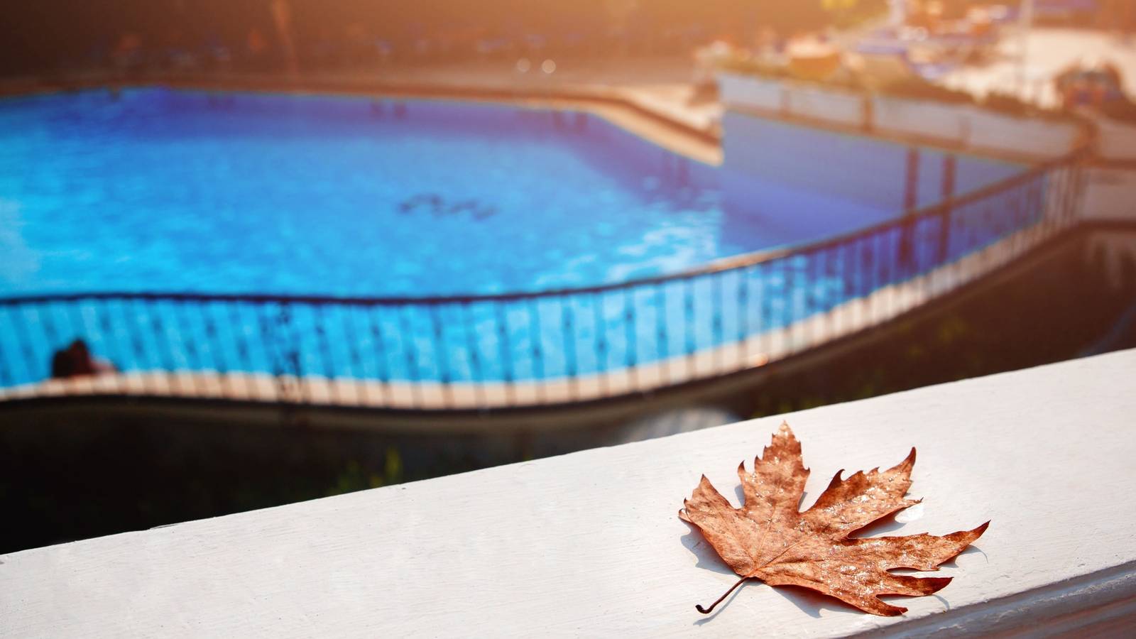 Smart Tips For Closing Your Backyard Pool Without Costly Mistakes