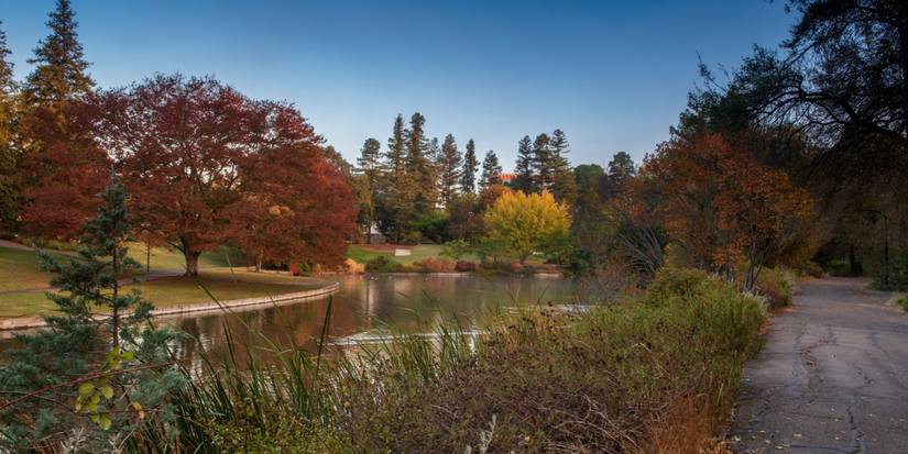 Discover 5 Breathtaking Free Botanical Gardens Across the US