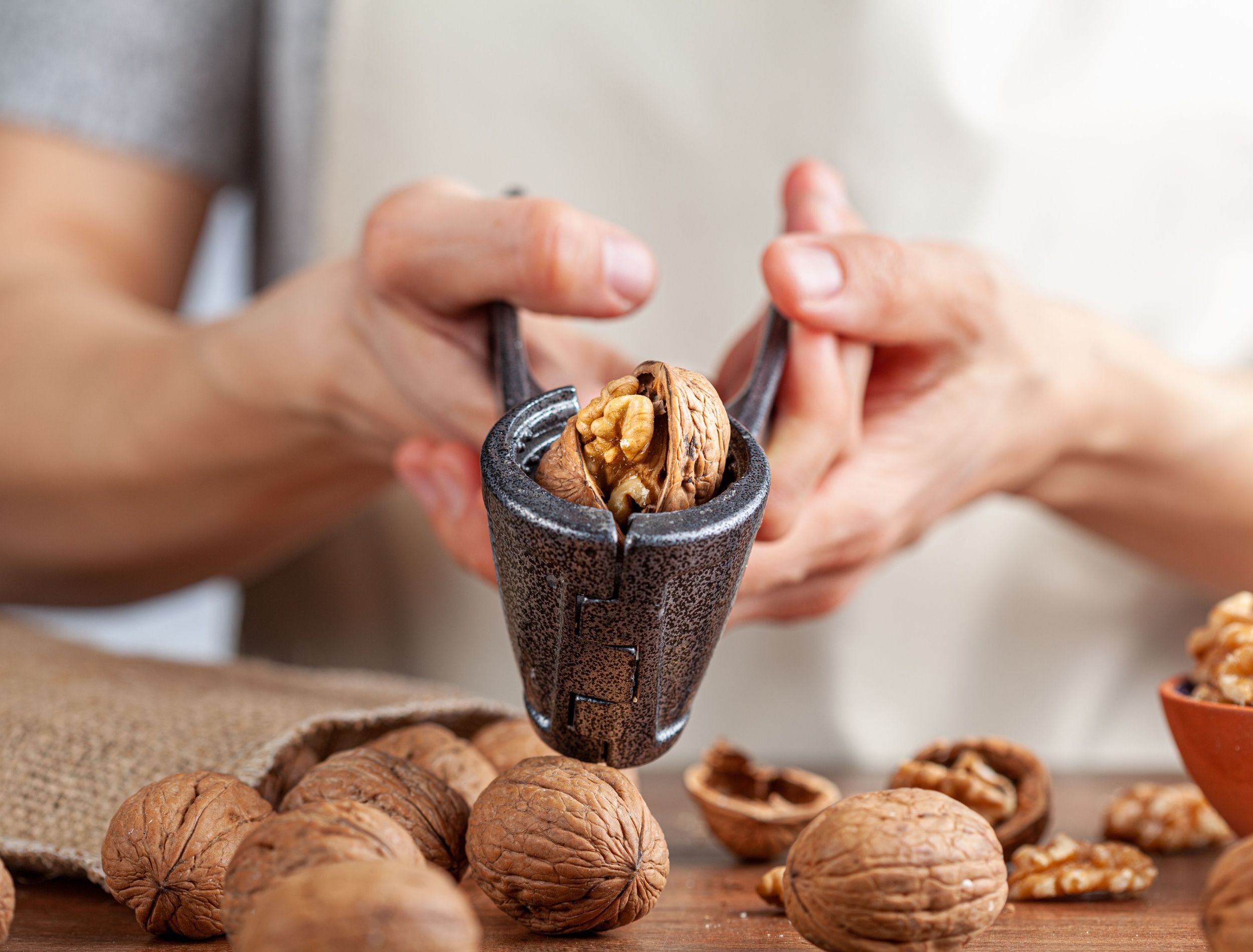 Mastering Garden Photography: Tips for Capturing Stunning Outdoor Images