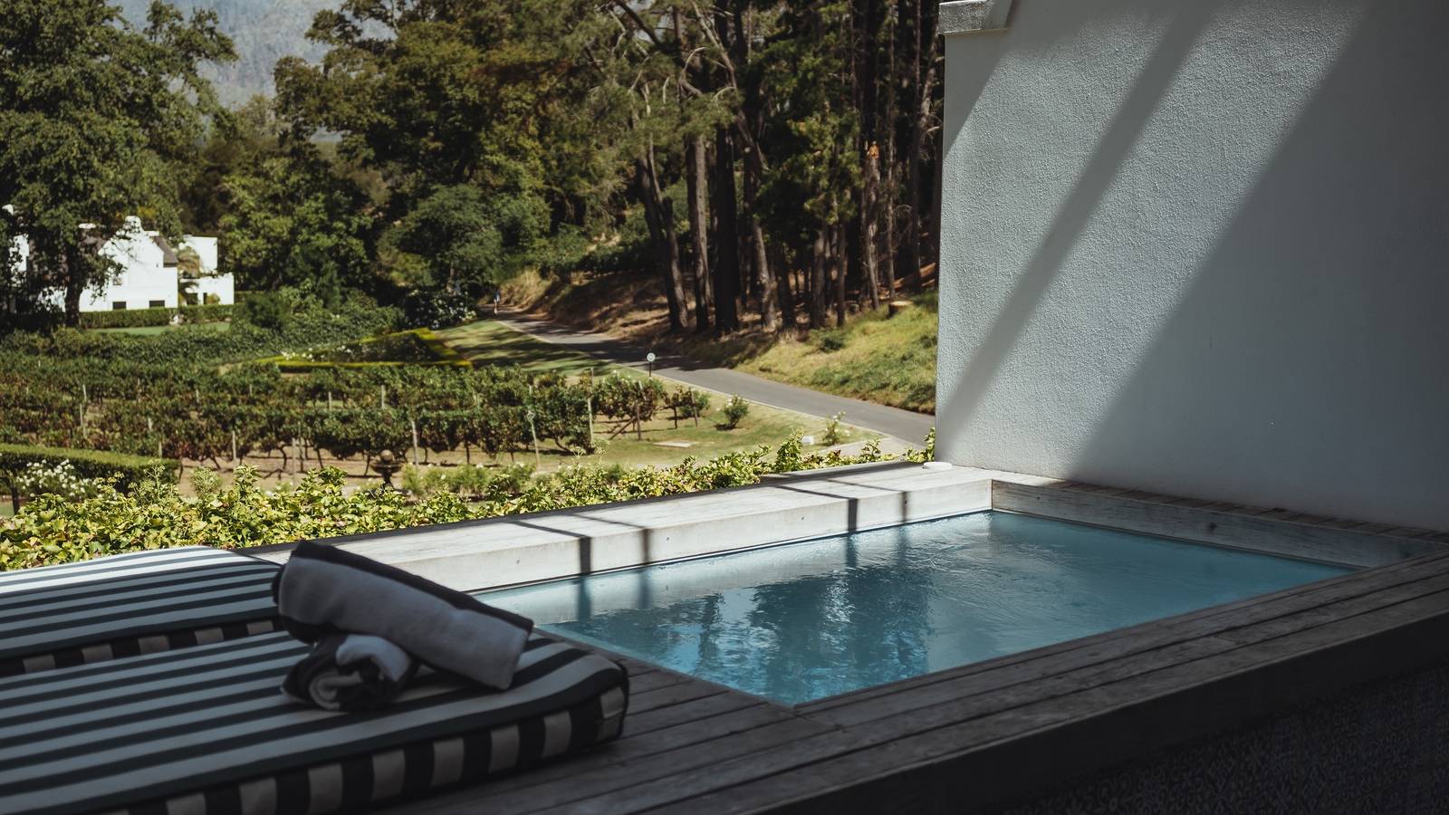 Tiny Pool, Huge Impact: Plunge Pools Are the Hot New Trend!