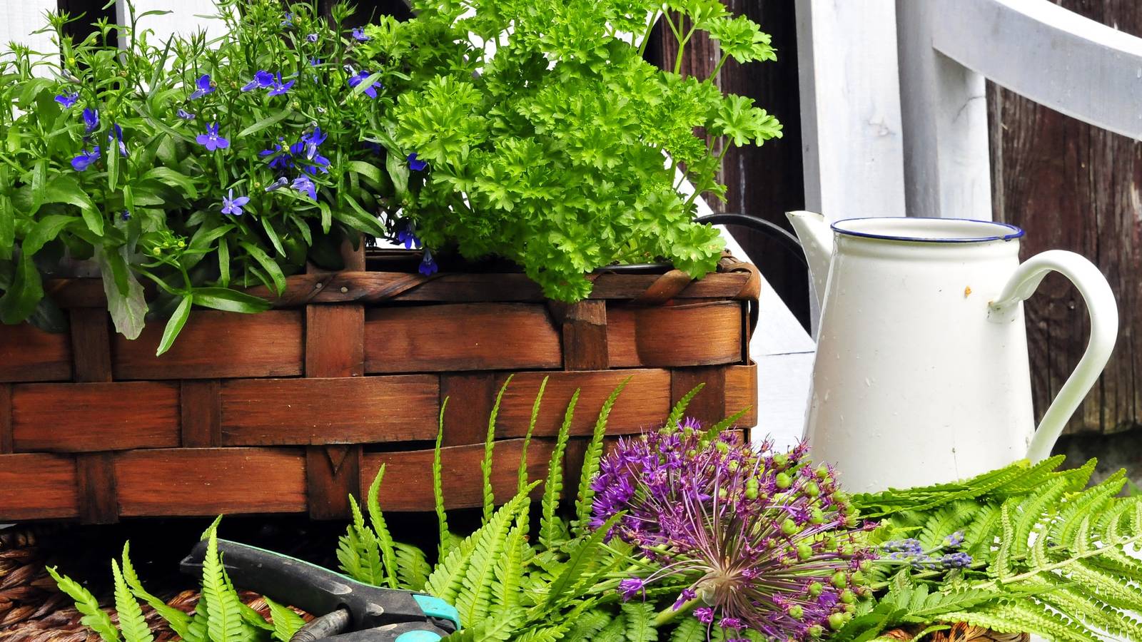 How to Create a Wellness Garden in Your Small Outdoor Space