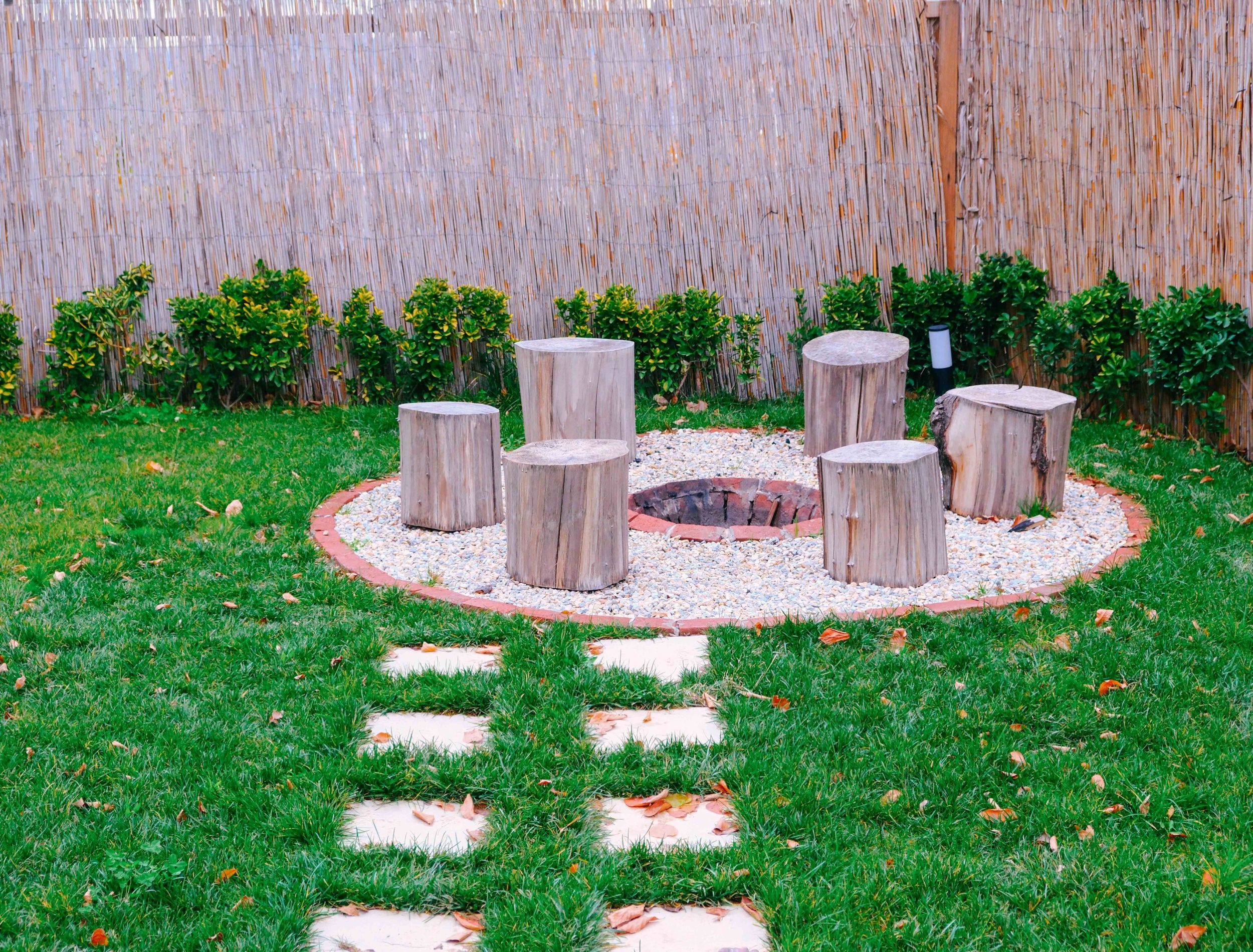 Vining Weeds That Wreck Lawns And How to Stop Them