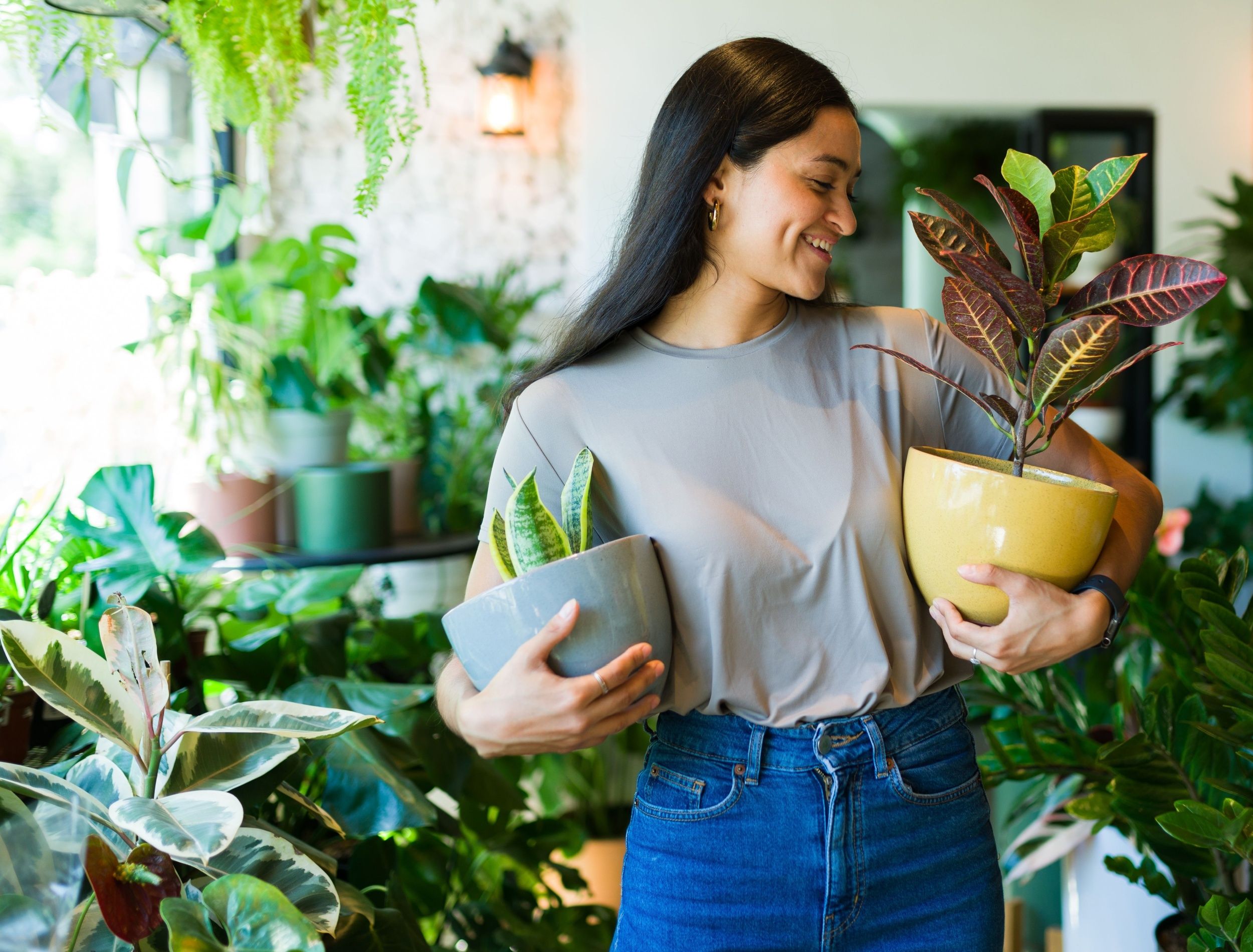 3 Easy Ways To Propagate Kalanchoe
