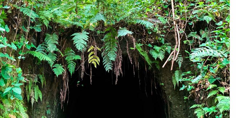 How to Carve a Primal Backyard Cave Retreat