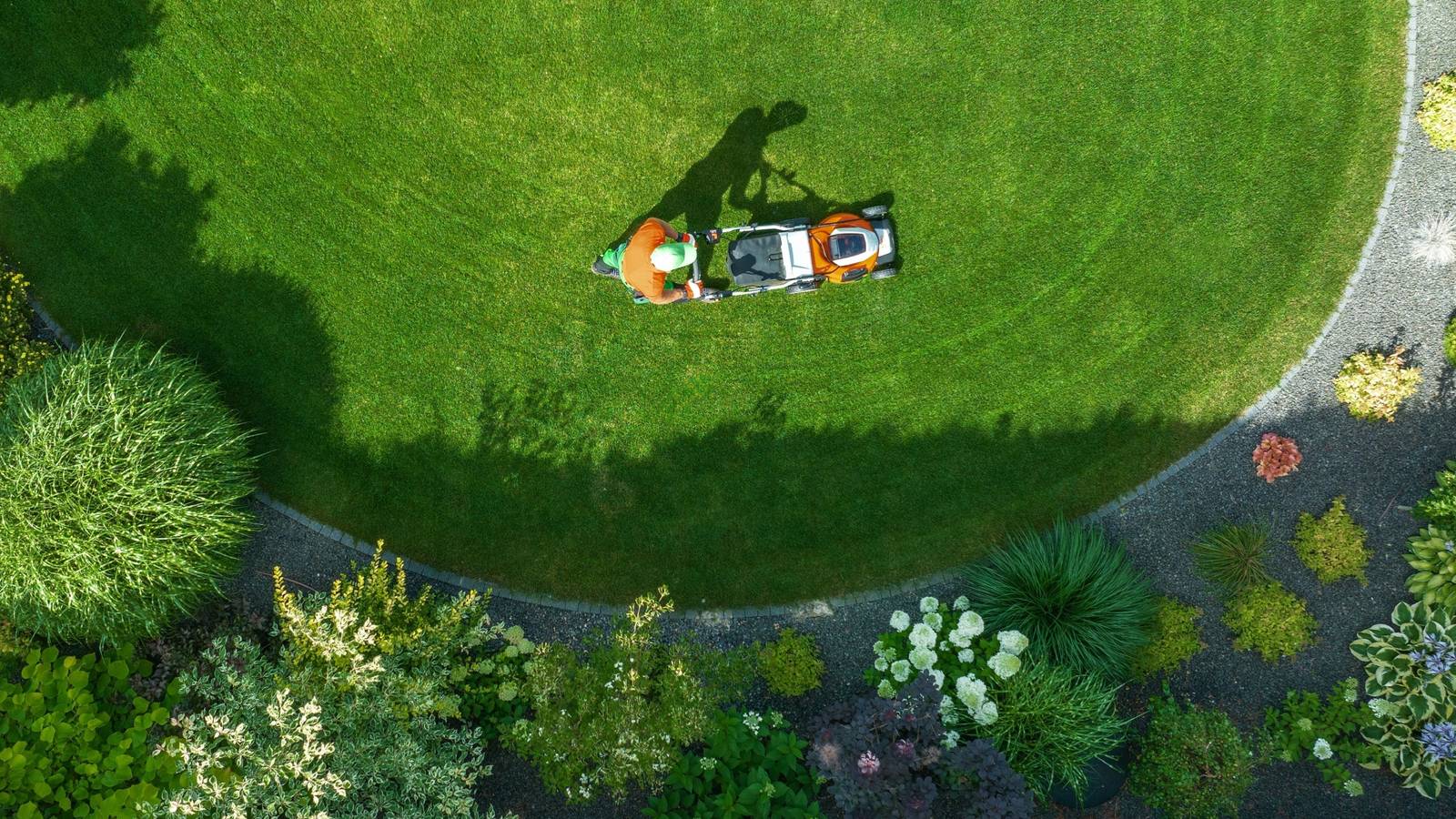 Ditch the Lawn: Modern, Sustainable Yard Designs That Work