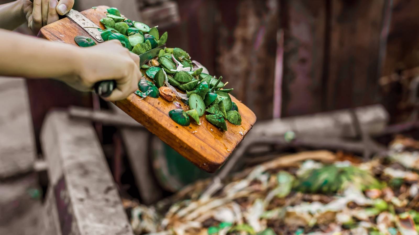 Mastering Compost: The 4 Key Stages Explained