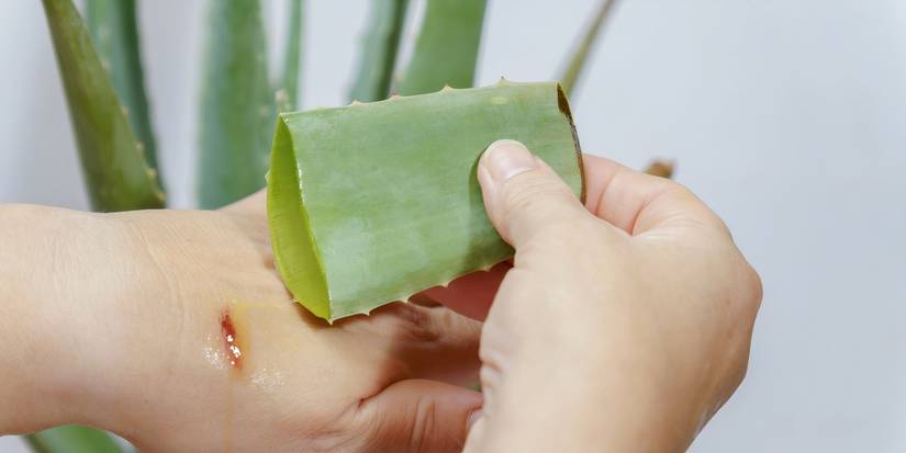 Gardening for Pain Relief: How Nature Supports Health