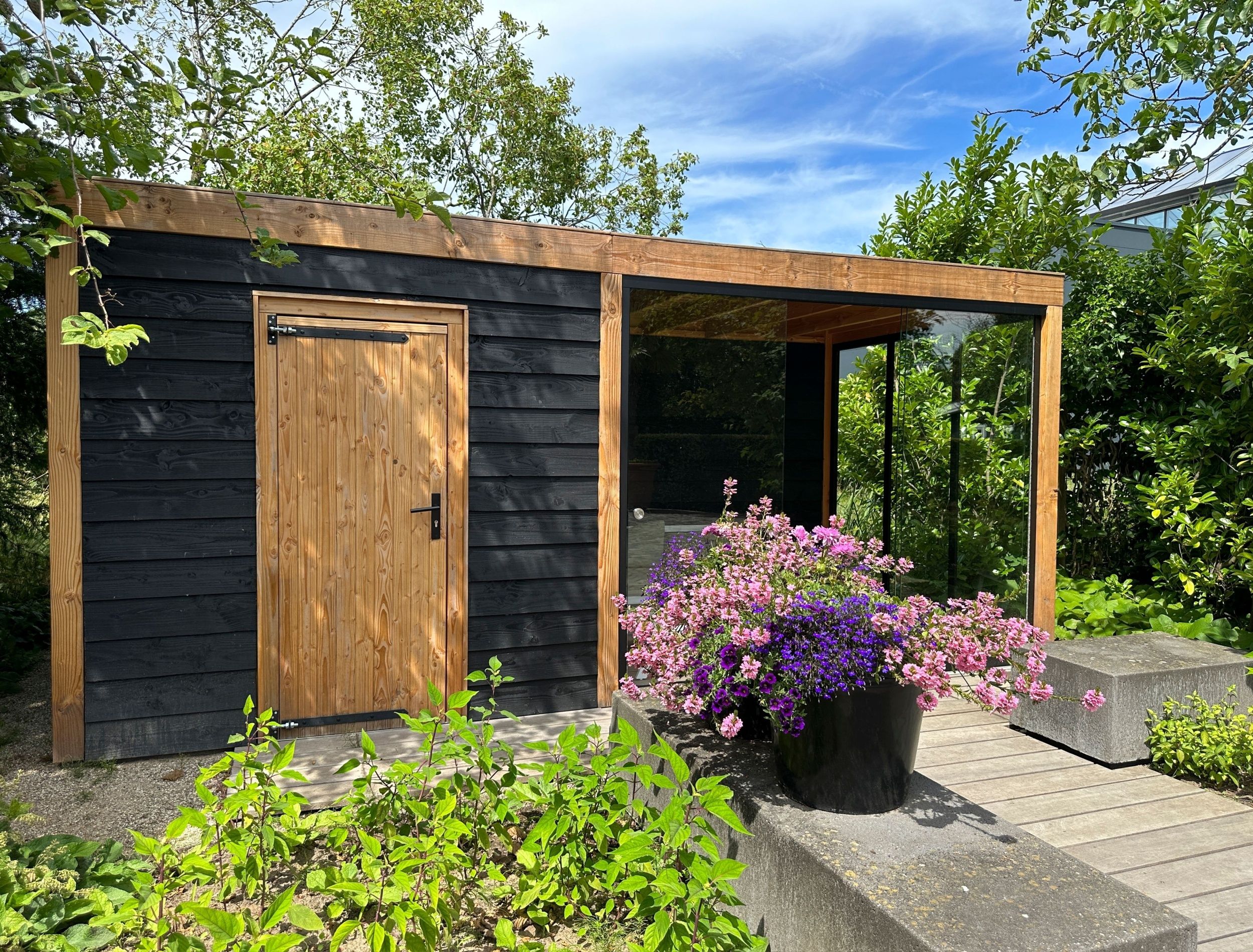 Create Your Dream Backyard with a DIY Greenhouse: Step-by-Step Guide