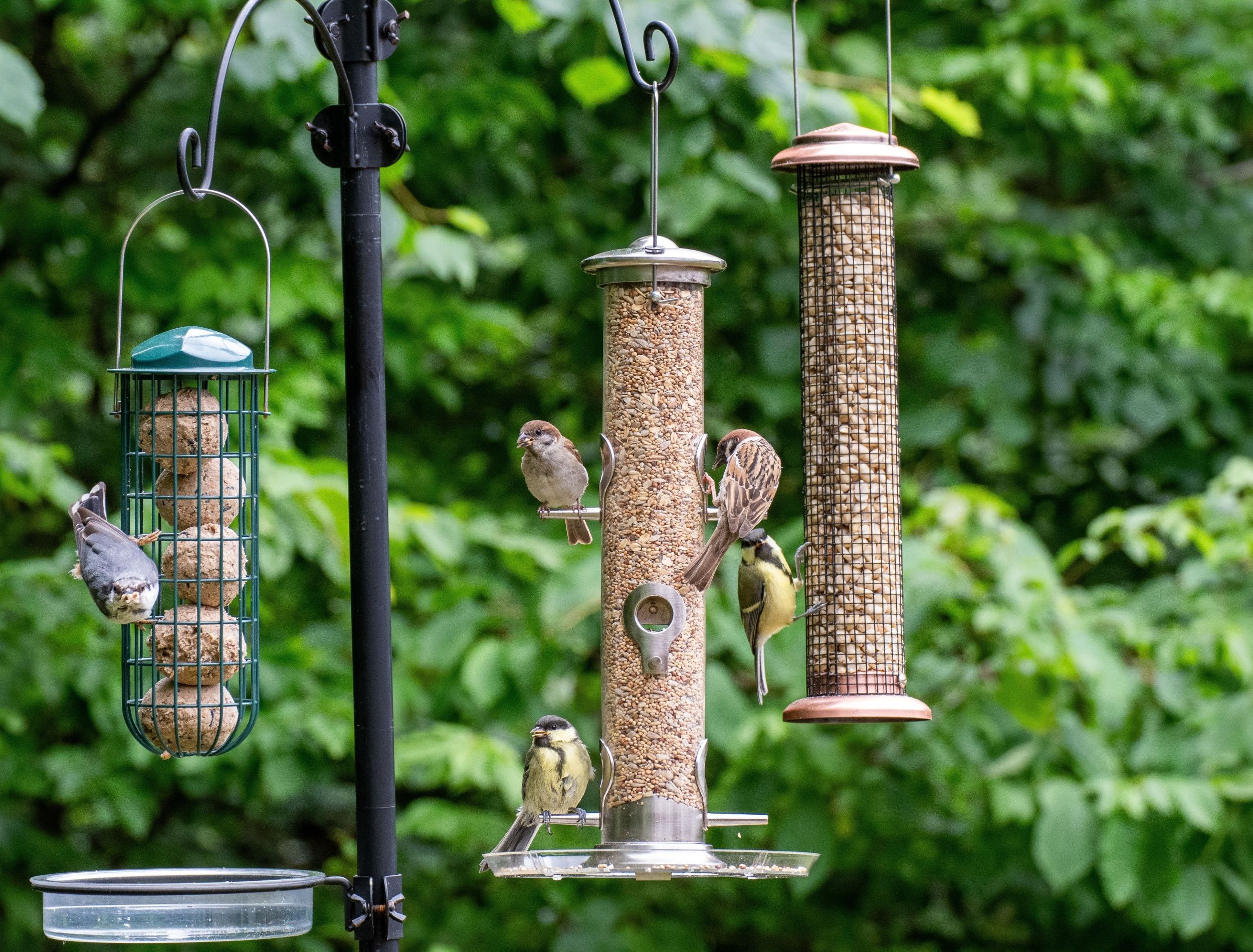 Does Liquid Lawn Aeration Really Work?