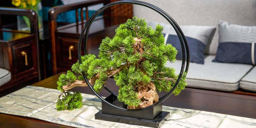 The Five Most Expensive Plants Ever Sold