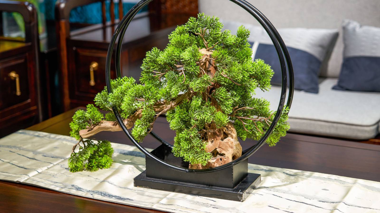 6 Small Plants to Elevate Your Coffee Table Decor