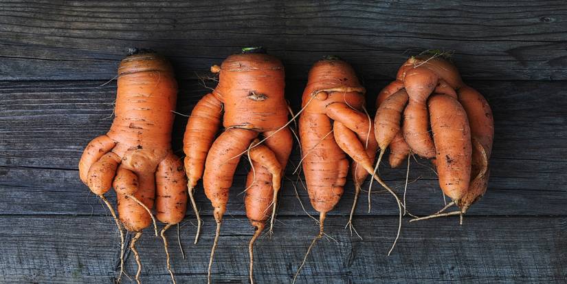 From Curled Cucumbers to Knotted Carrots: Embrace Your Quirky Harvest