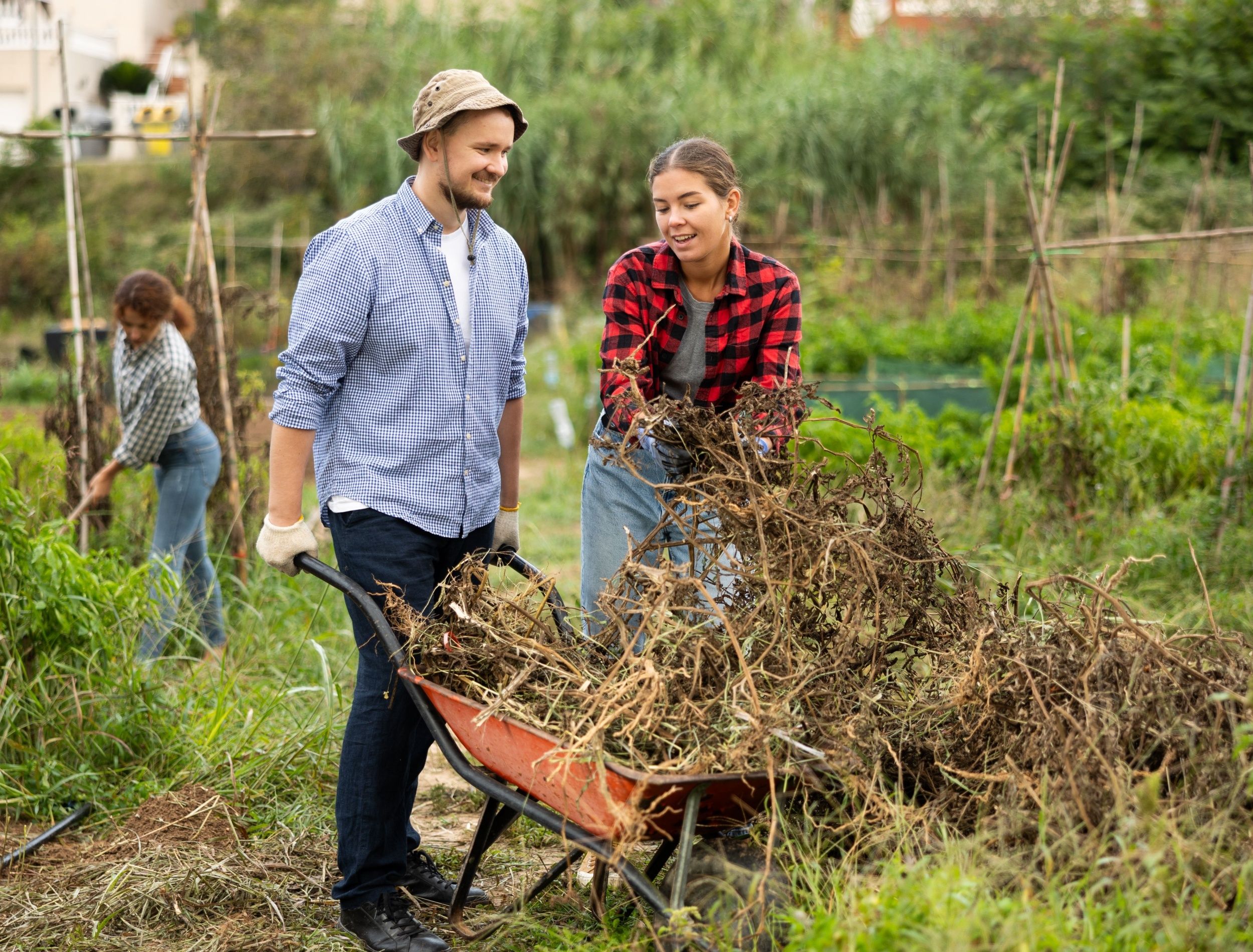 Landscaping Ideas: Use a Dirt Pathway for Rustic Appeal