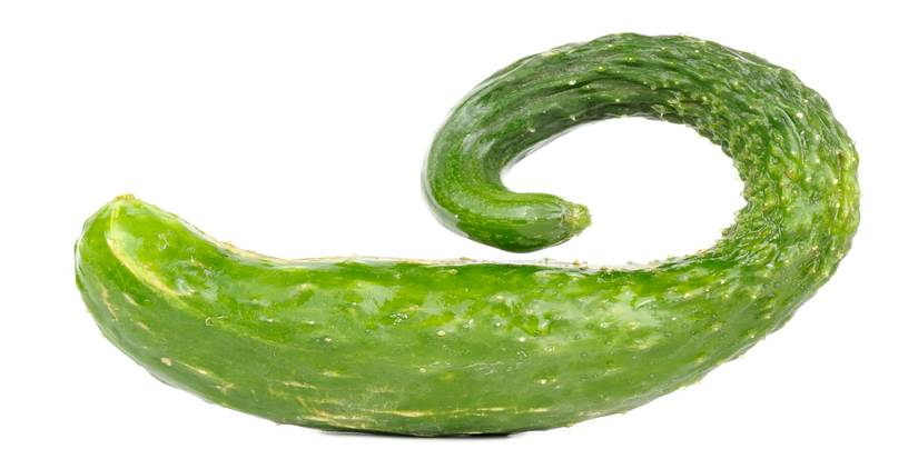 From Curled Cucumbers to Knotted Carrots: Embrace Your Quirky Harvest