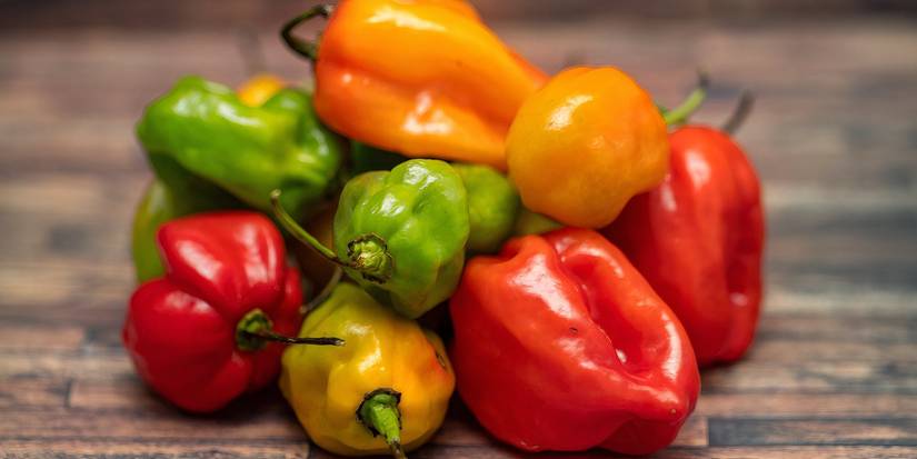 5 Best Peppers for Flavorful Chili: A Guide to Heat and Taste
