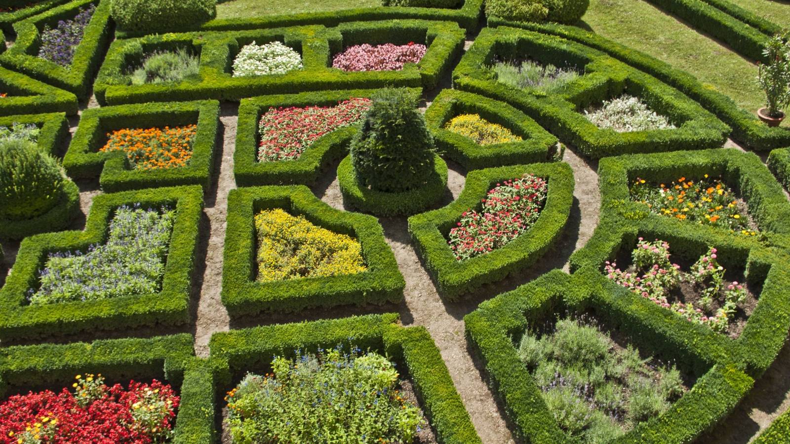 Build a Gorgeous Knot Garden: Timeless Designs for Your Backyard