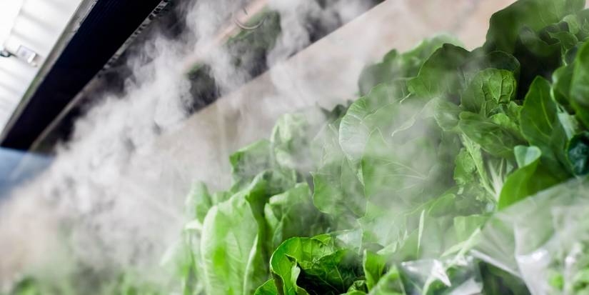 How Misting Keeps Fruits and Vegetables Fresher in Grocery Stores