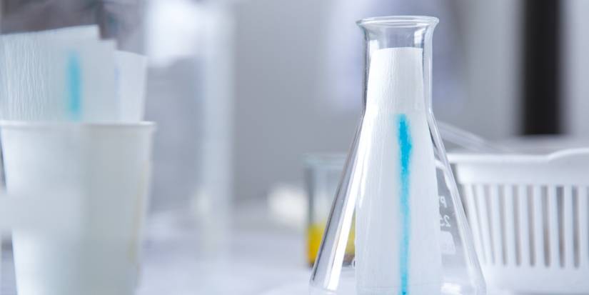 Fun Science Experiment: Discover Hidden Pigments in Fall Leaves