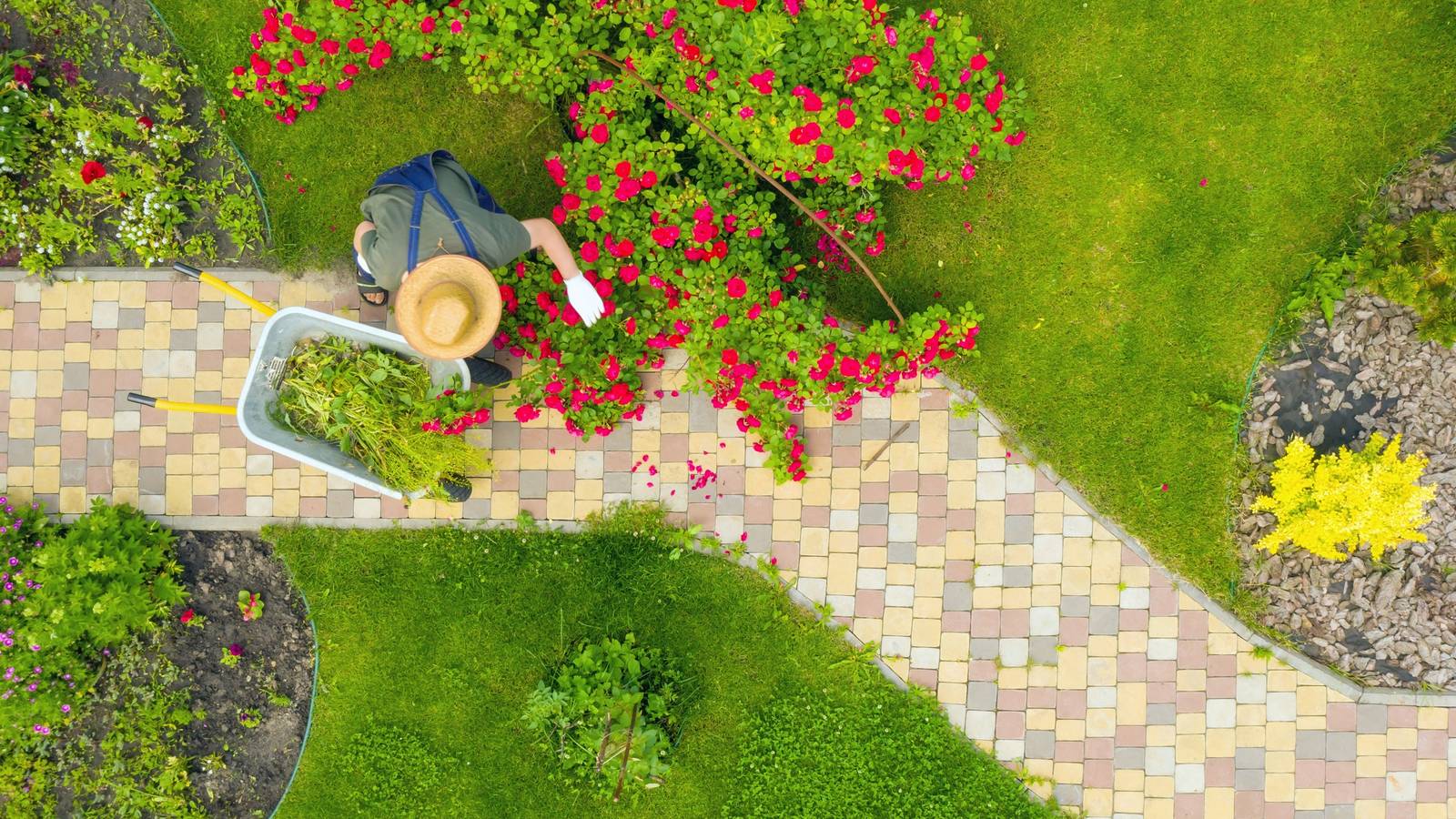 Beginner Gardeners Guide: Five Gardening Basics You Can’t Skip