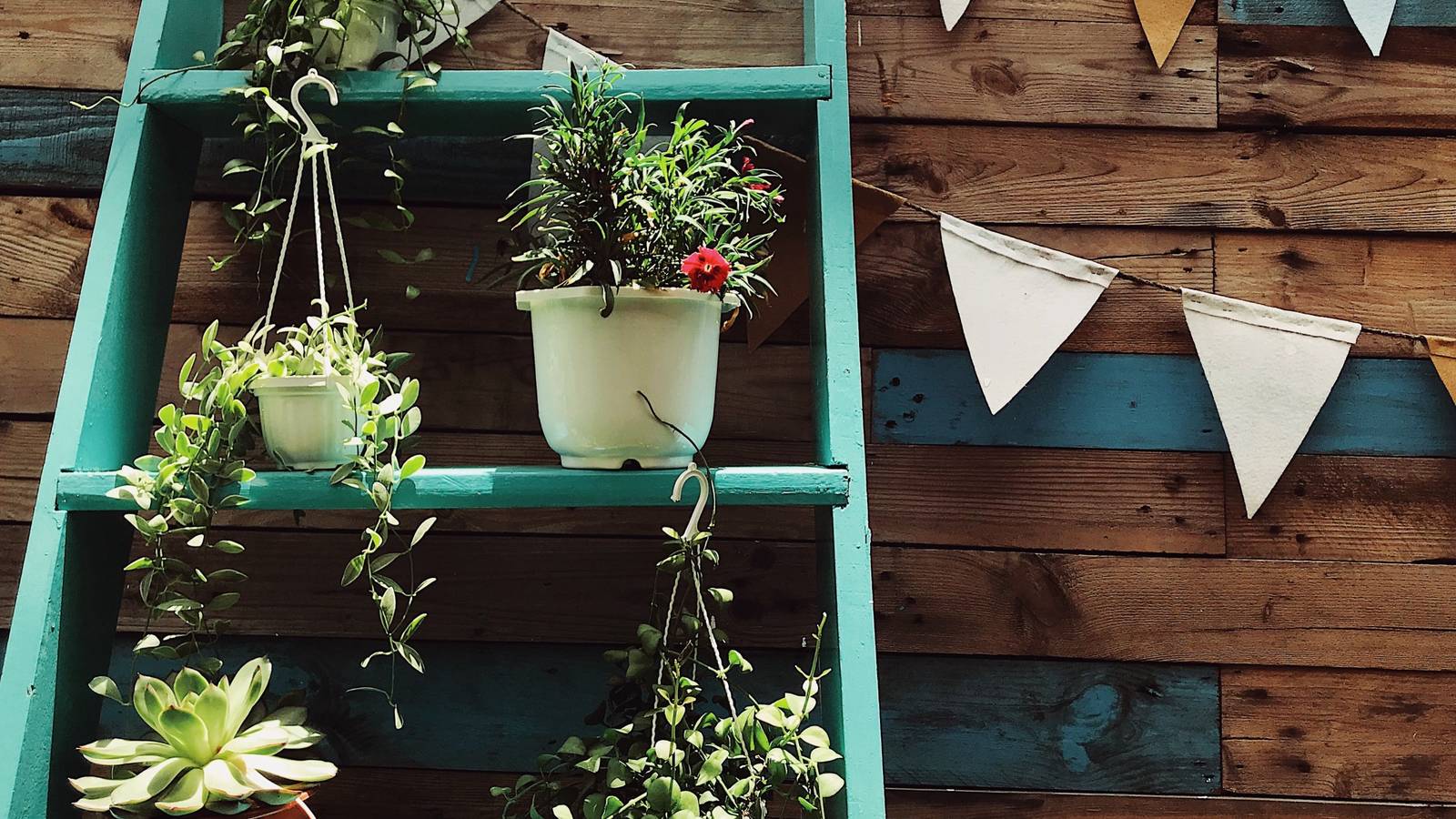 Creative Ladder Landscaping Ideas for Garden Charm and Function