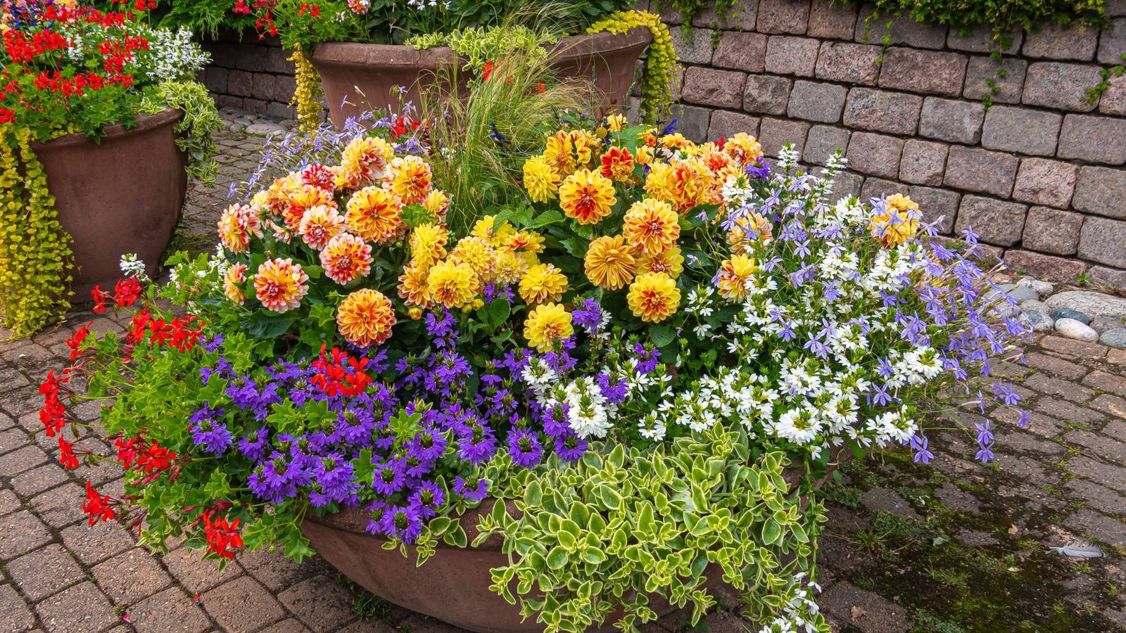 The Container Gardening Rule of Thumb: Thriller, Filler, Spiller Method