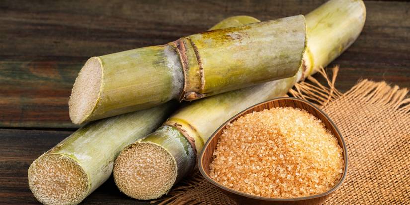 How Sugar Is Made from Sugar Cane: From Field to Crystal